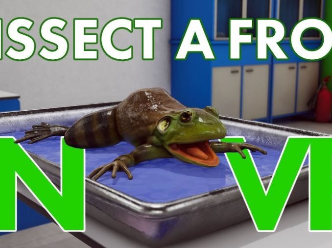 GigXR integrates ANIMA RES Insight Series for 3D anatomy learning